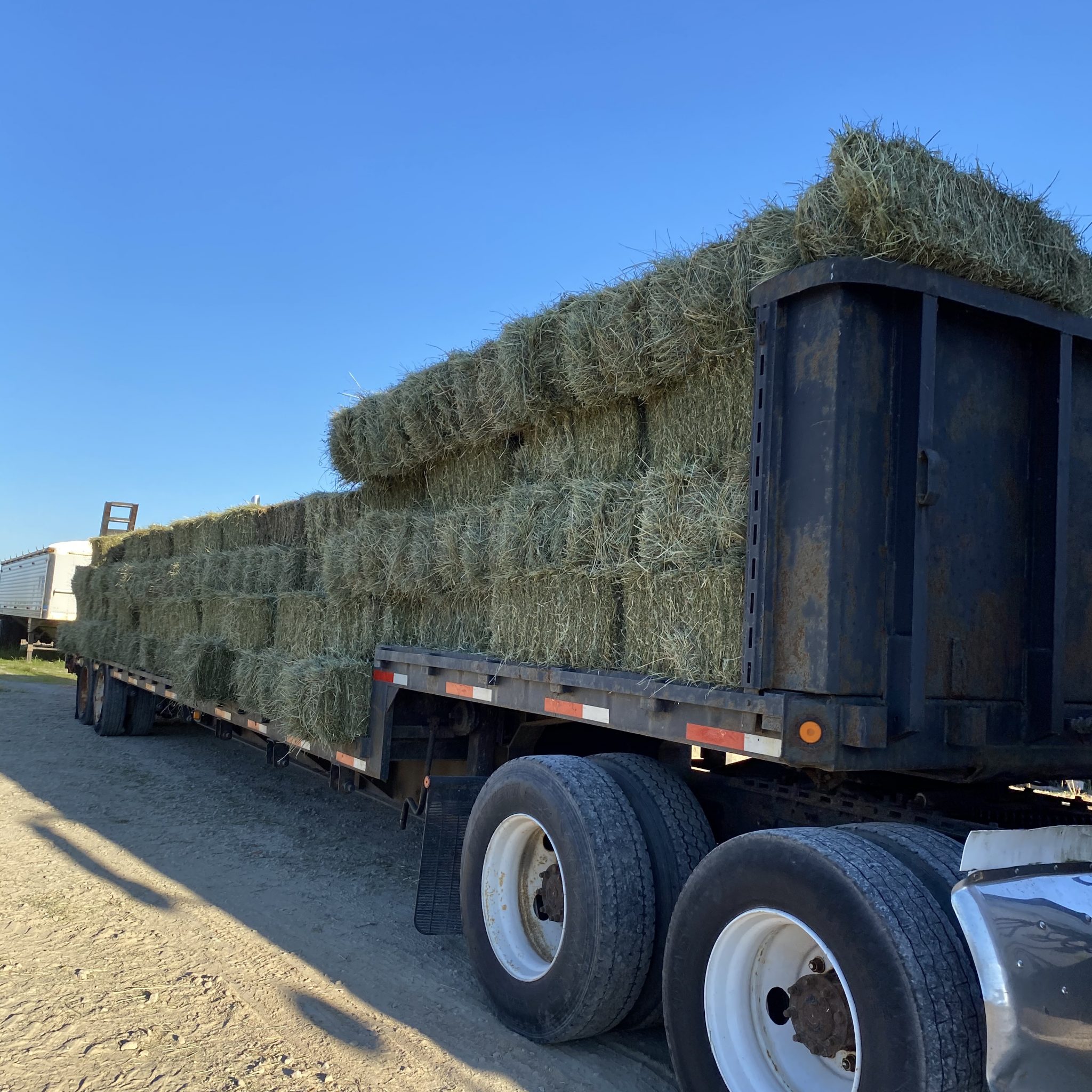 Hay Sales - Needs Farms