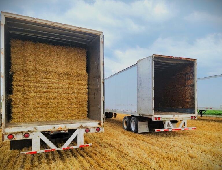 Straw Baling - Needs Farms